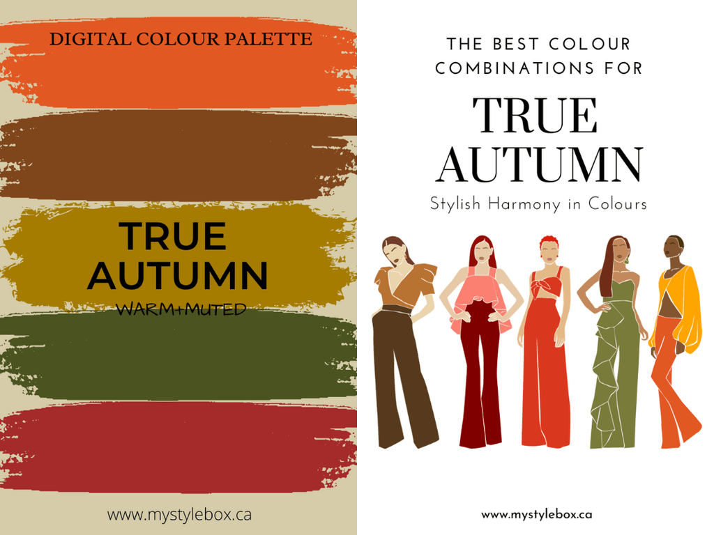 True Autumn Season Color Palette and Combinations Bundle